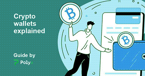 Where To Safely Store Bitcoins | Polyx Blog About Cryptocurrencies